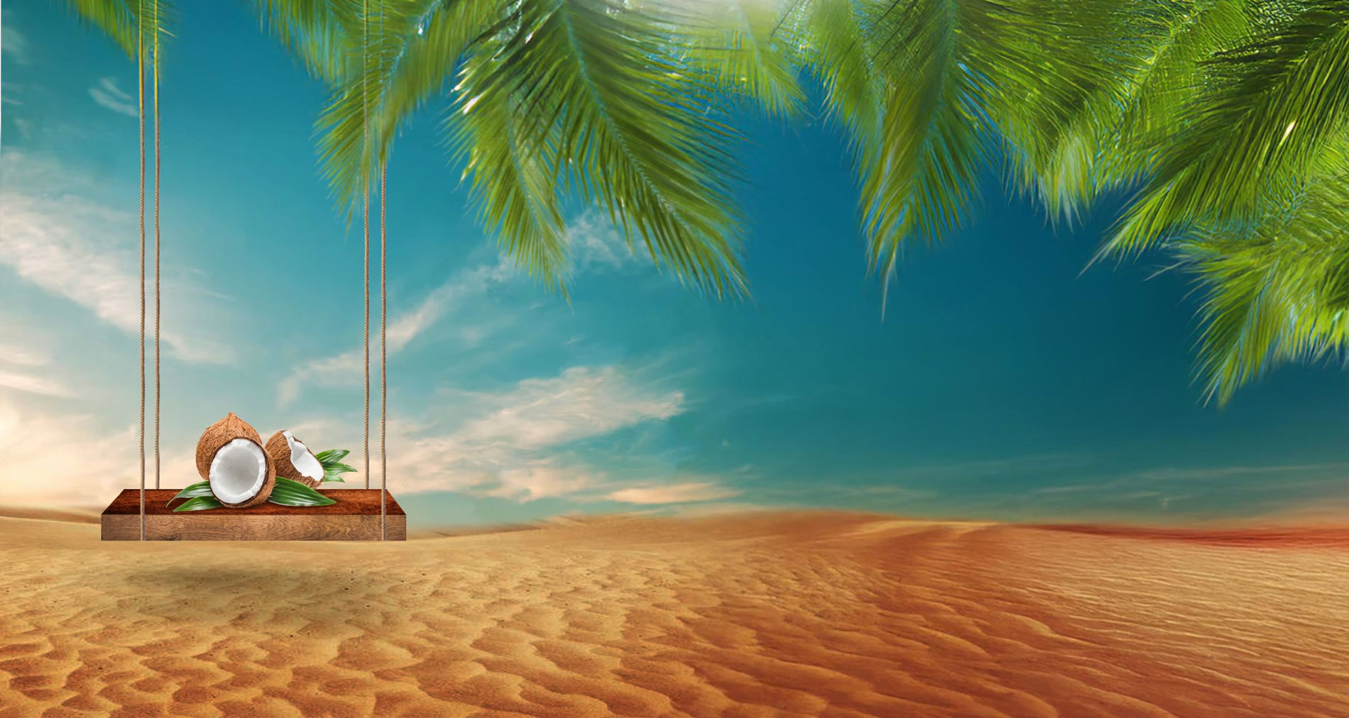 Best Coconut Exporter from Pollachi | India – Aura Coconut